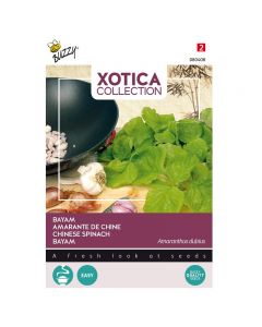 Exotische groente - Groentezaden - Zaden OP=OP